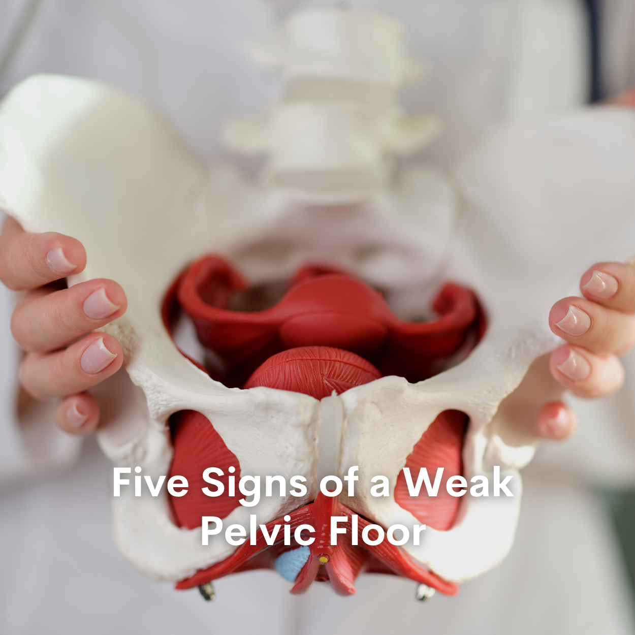 Five Signs of a Weak Pelvic Floor | WUKA